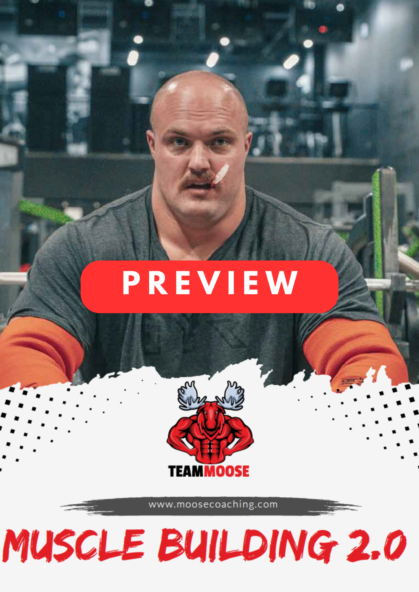 MUSCLE BUILDING 2.0 PREVIEW – Moose Coaching