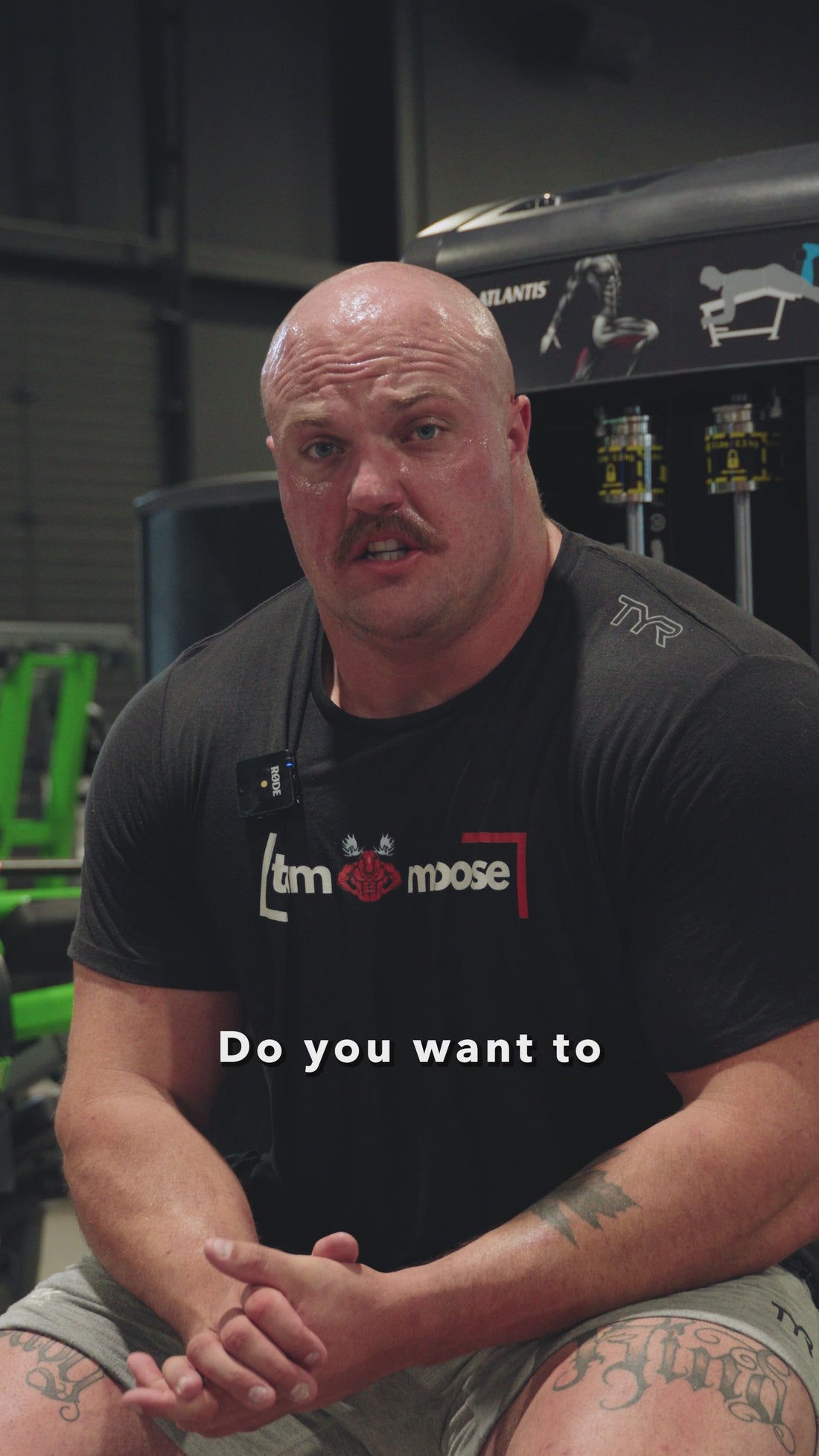 POWER BUILDING – Moose Coaching